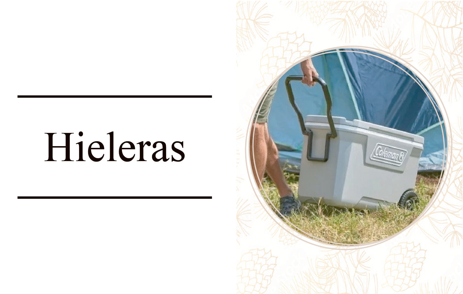 Hieleras – Comercializadora y Distribuidora Feraly